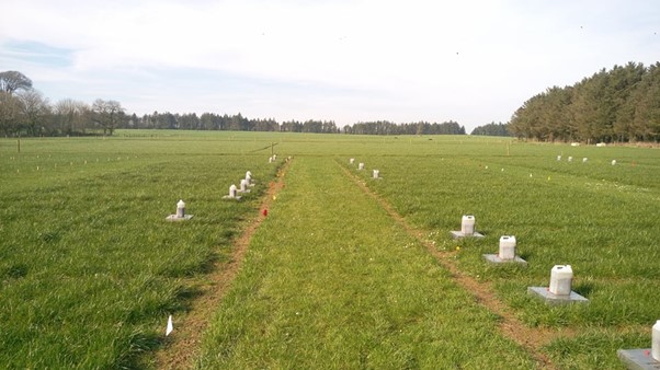 Teagasc Research Shows Environmental Benefits of Lime - Grolime